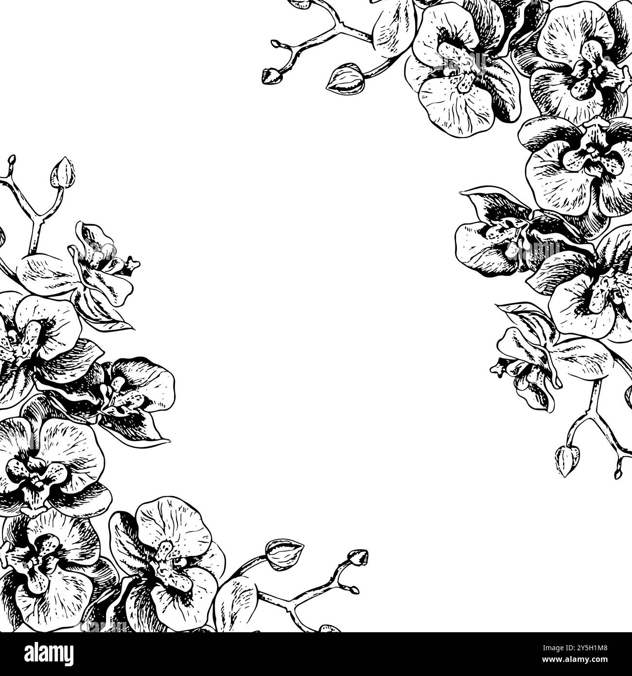 The Orchid frame. A black and white vector graphic illustration made by ...