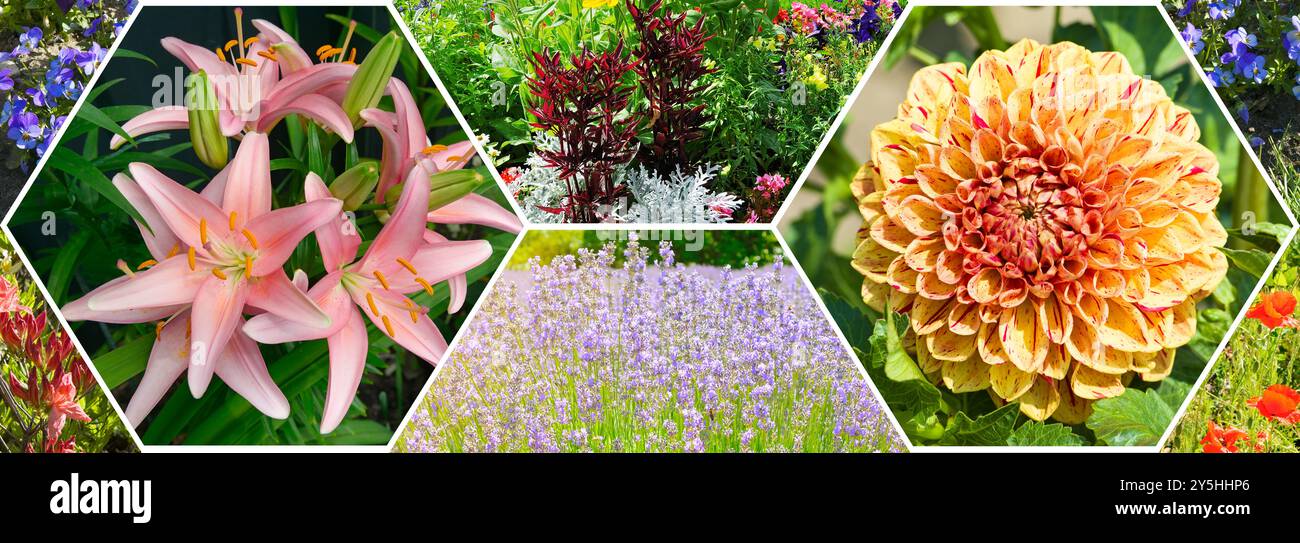 Collage gardening hi-res stock photography and images - Alamy