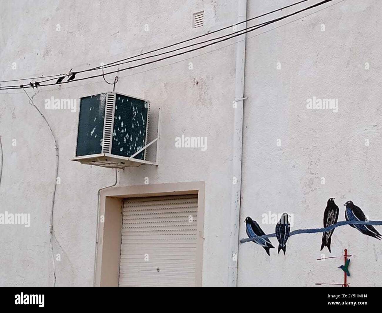 Southern Martin (Progne elegans) Aves Stock Photo - Alamy