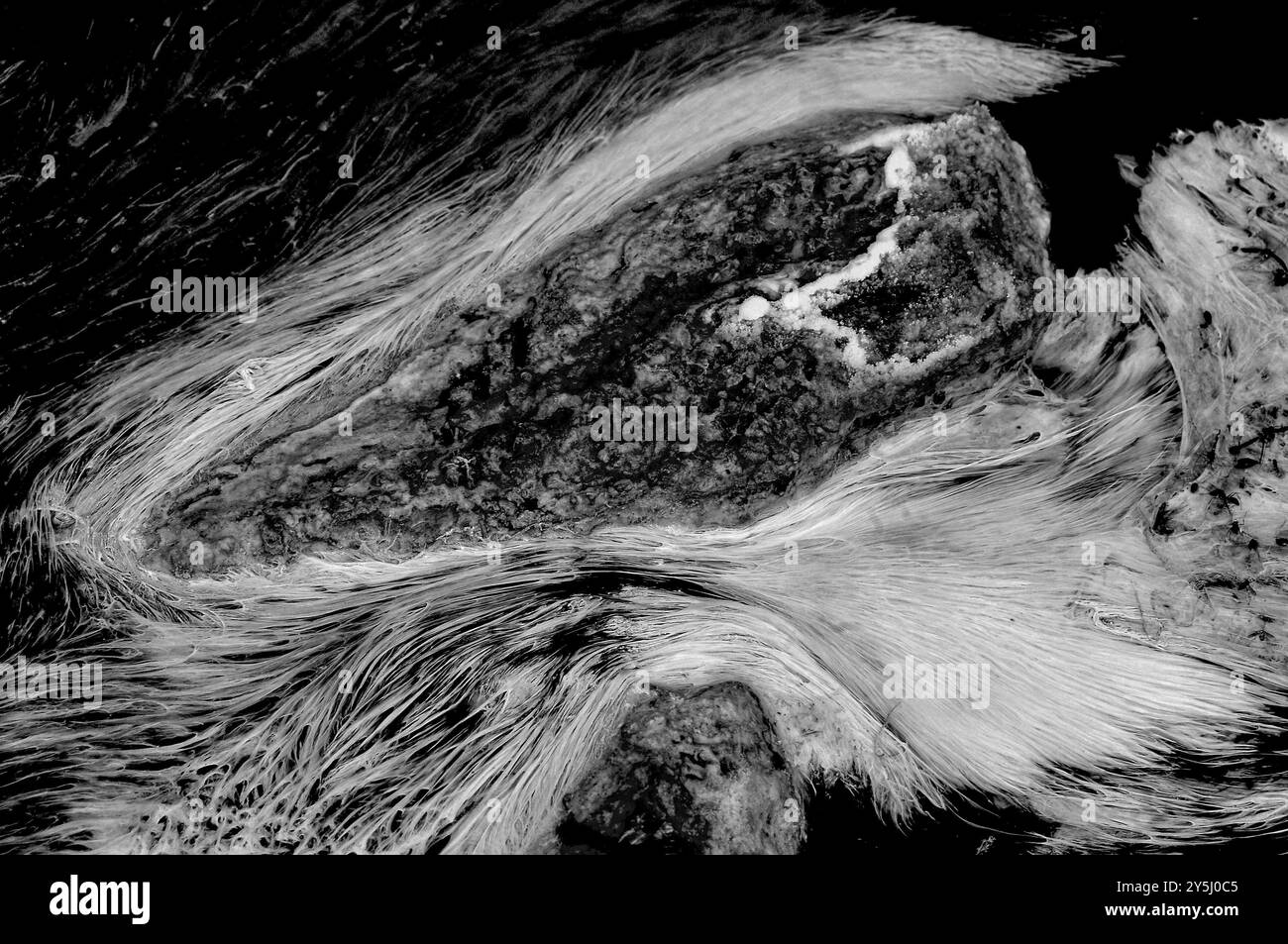 Salt crystals forming from salty water at Kibiro Lake Albert in Uganda ...