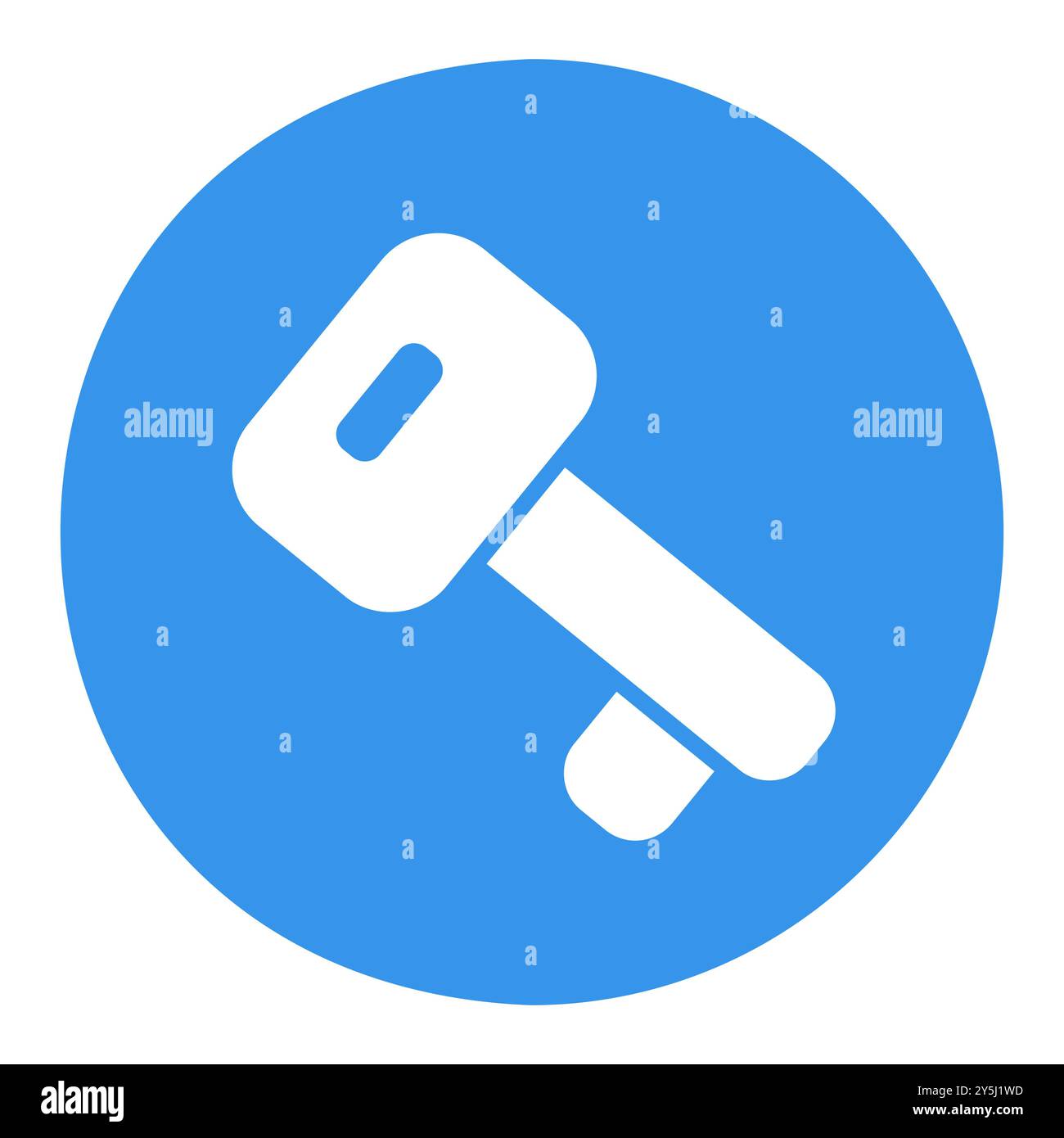Access key icon on white background. . Security sign. Graph symbol for ...