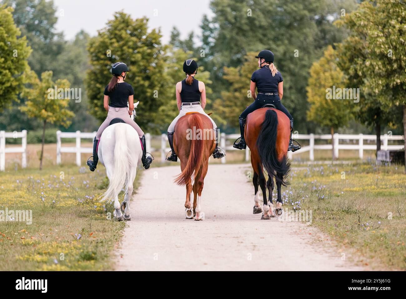 Rear view of three female riders riding horses side by side near white ...