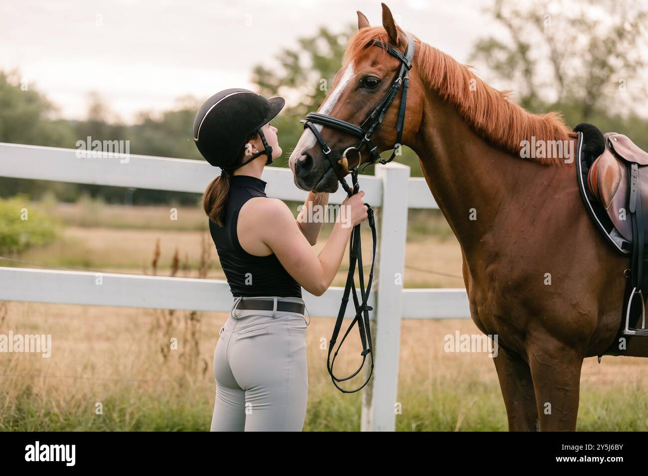 Female rider hand gently caressing beautiful thick red horse mane ...