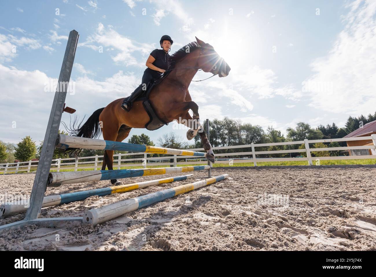 Professional equestrienne exercising hurdle jump on her beautiful horse ...