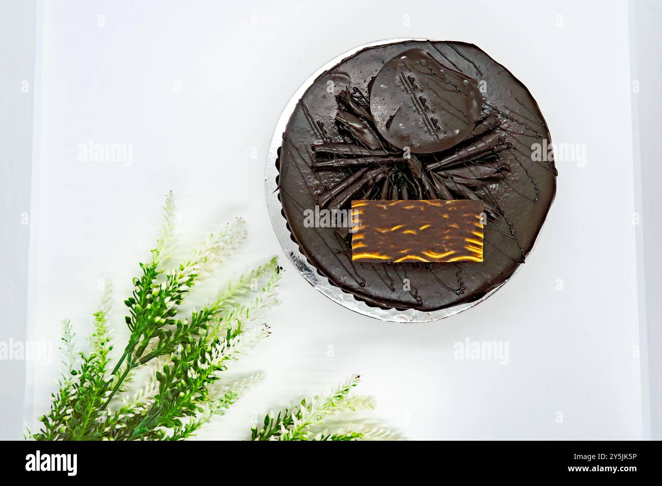 Dark Forest Chocolate Truffle Cake with Green Plant on Side for ...
