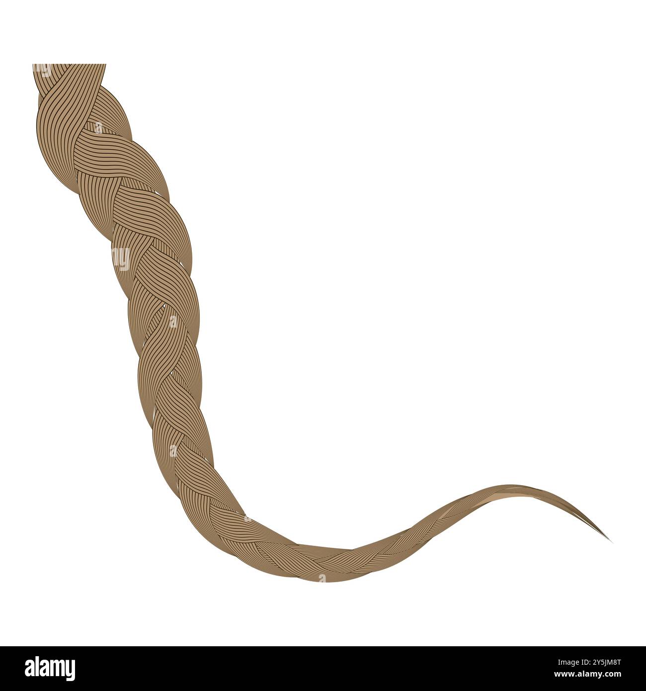 Vector Braid icon clipart avatar. Braided curve hair. Cartoon art ...