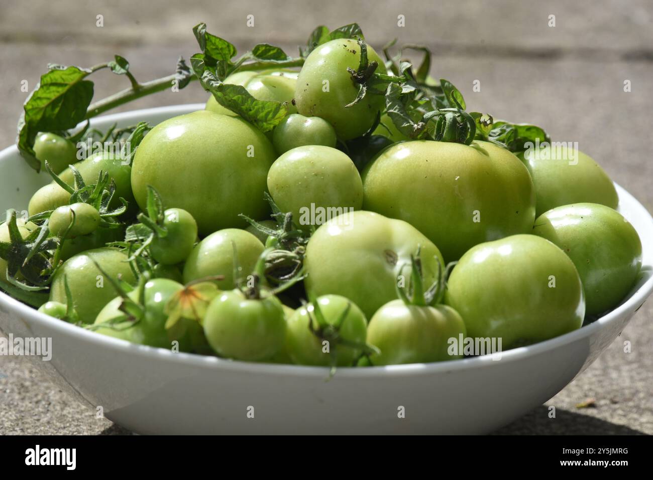 Pictures show the process of making homemade green tomato chutney after ...