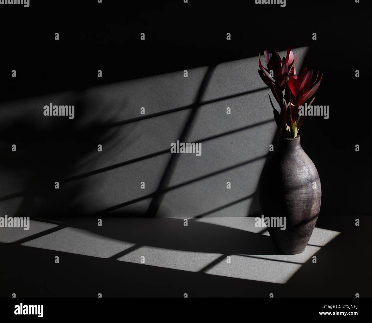 A beautifully crafted ceramic vase holds striking red flowers ...