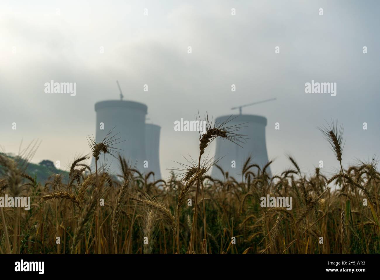 Cooling towers of the Ruppur Nuclear Power Plant. Rooppur, Bangladesh ...