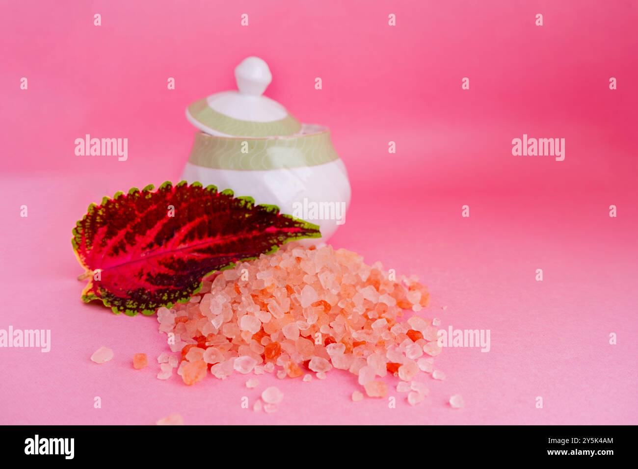 Himalayan Pink Salt Isolated in a China Bowl with Spoon Crystals of ...