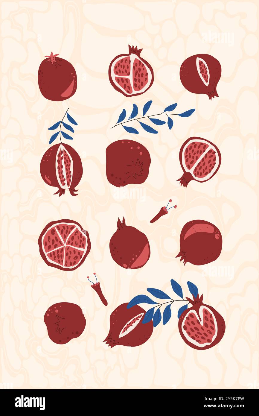 Pomegranates poster. Vector flat hand drawn illustration Stock Vector ...