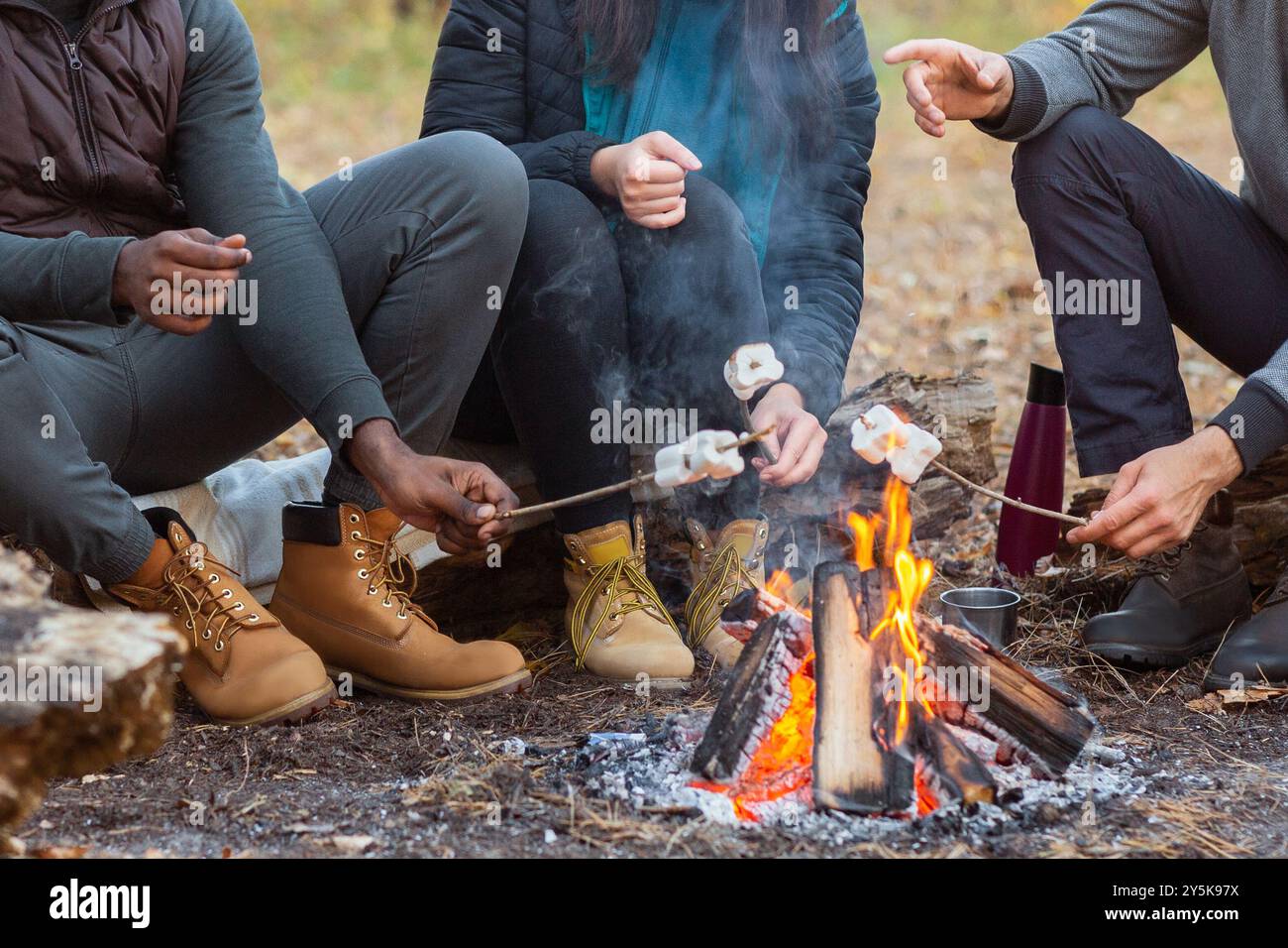 Happy international friends frying marshmallow and talking at forest ...
