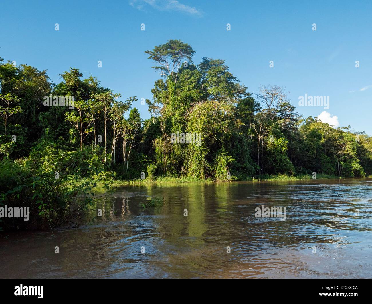 Amazon rainforest city hi-res stock photography and images - Alamy