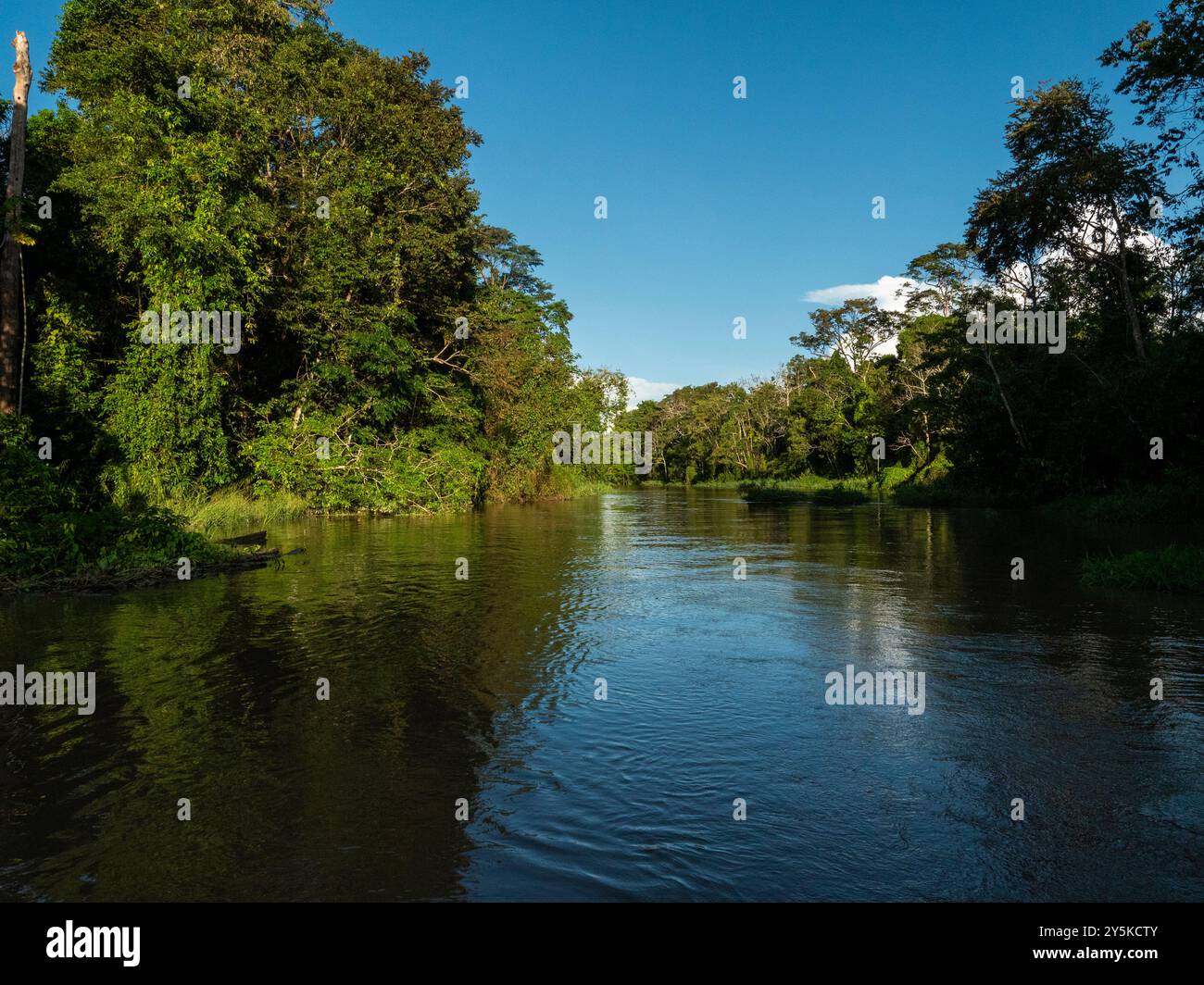 Amazon rainforest city hi-res stock photography and images - Alamy