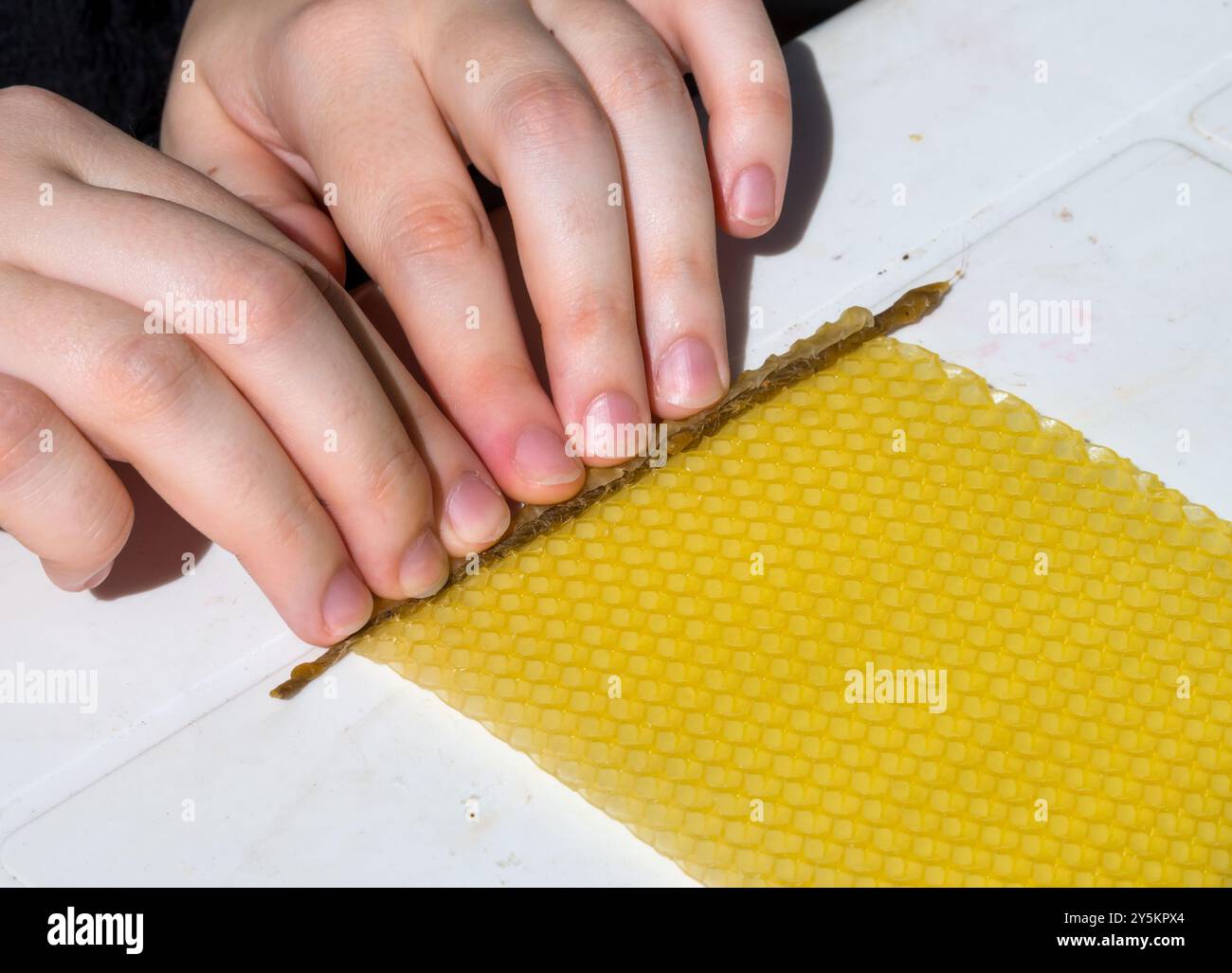 The initial stage of making a candle from a sheet of foundation Stock ...