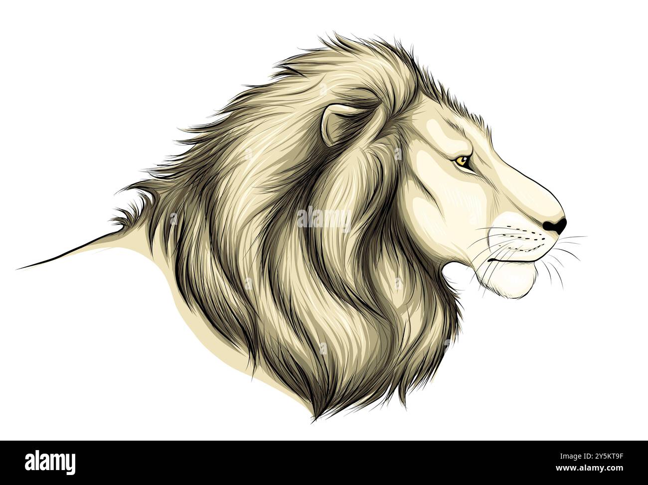 Zoomorphic design Cut Out Stock Images & Pictures - Alamy
