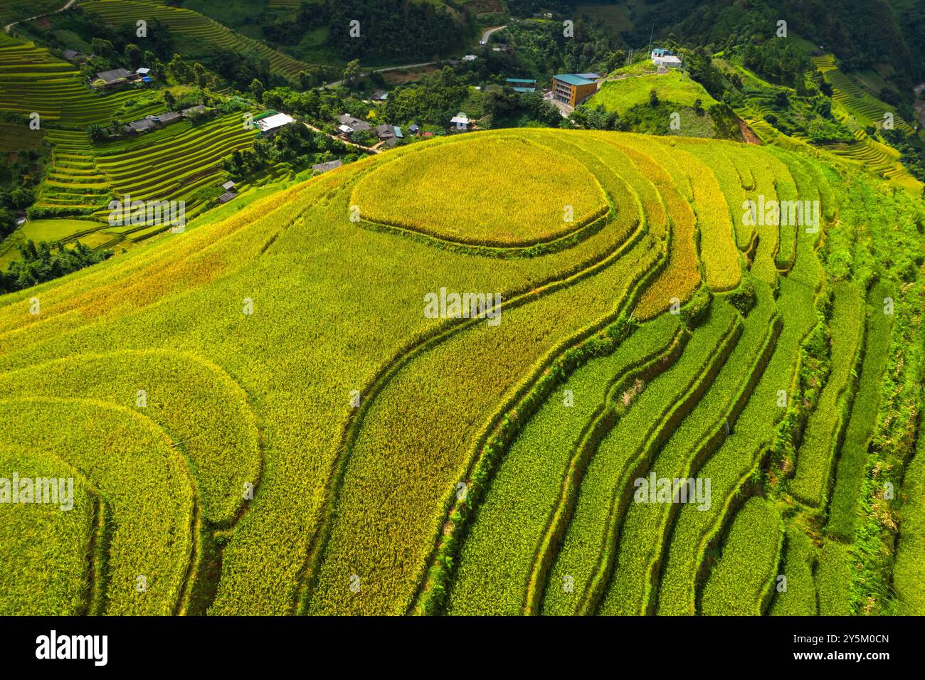 Aerial view of rice terrace field of La Pan Tan near Sapa, Vietnam ...
