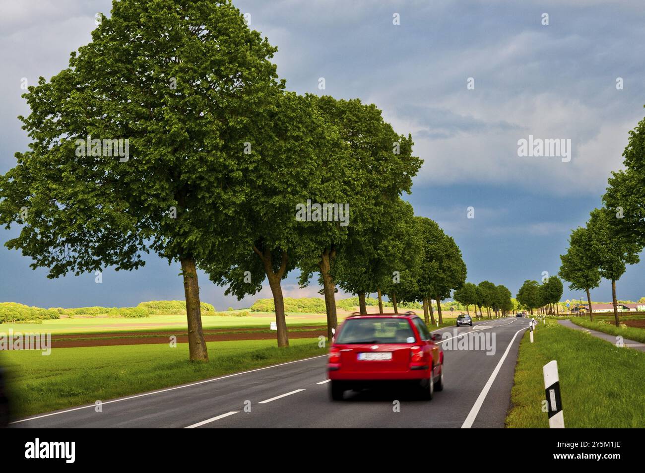Street with avenue in spring with moving cars Stock Photo - Alamy