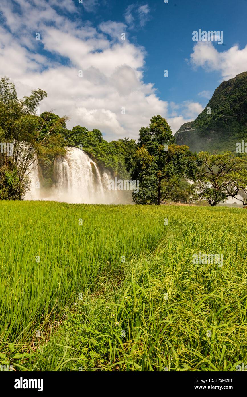 Ban Gioc waterfall in Cao Bang, Viet Nam - The waterfalls are located ...