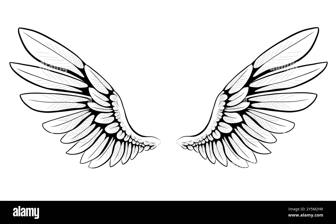 Wings and body hi-res stock photography and images - Alamy