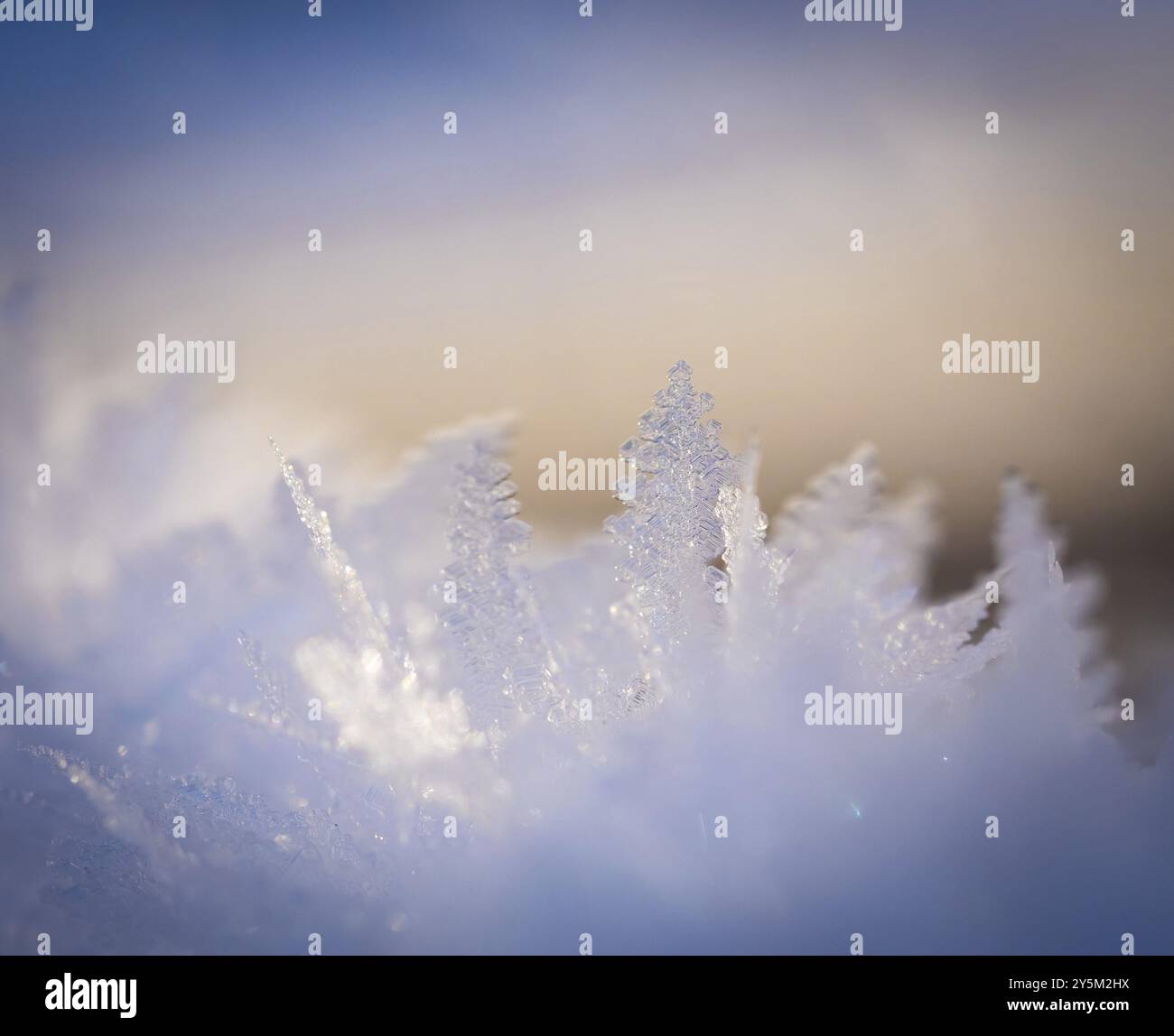 Crystal details hi-res stock photography and images - Alamy