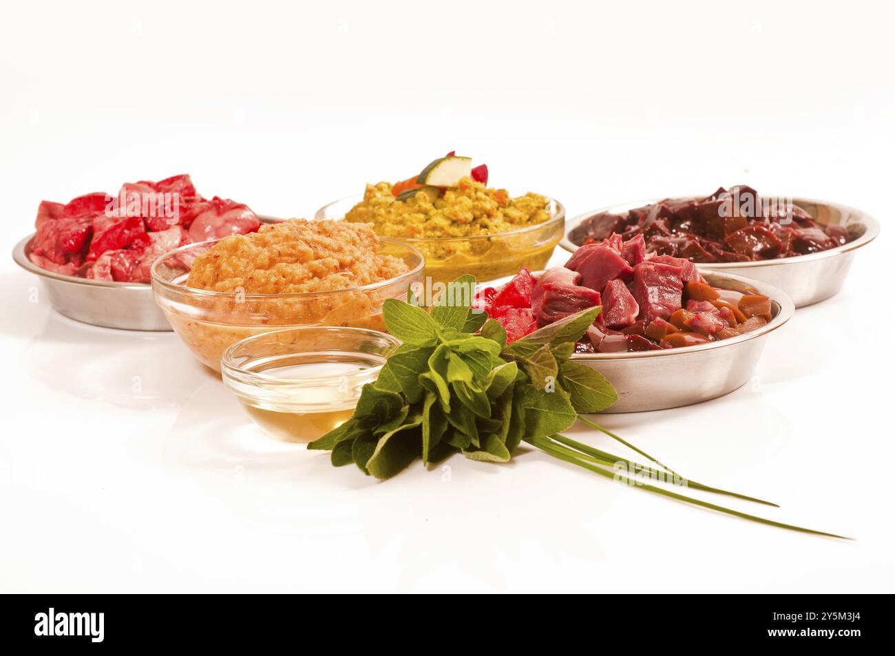 Barf: raw meat and offal, various types, with vegetables and fruit ...