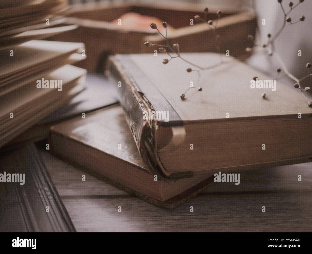 Historical book covers hi-res stock photography and images - Alamy
