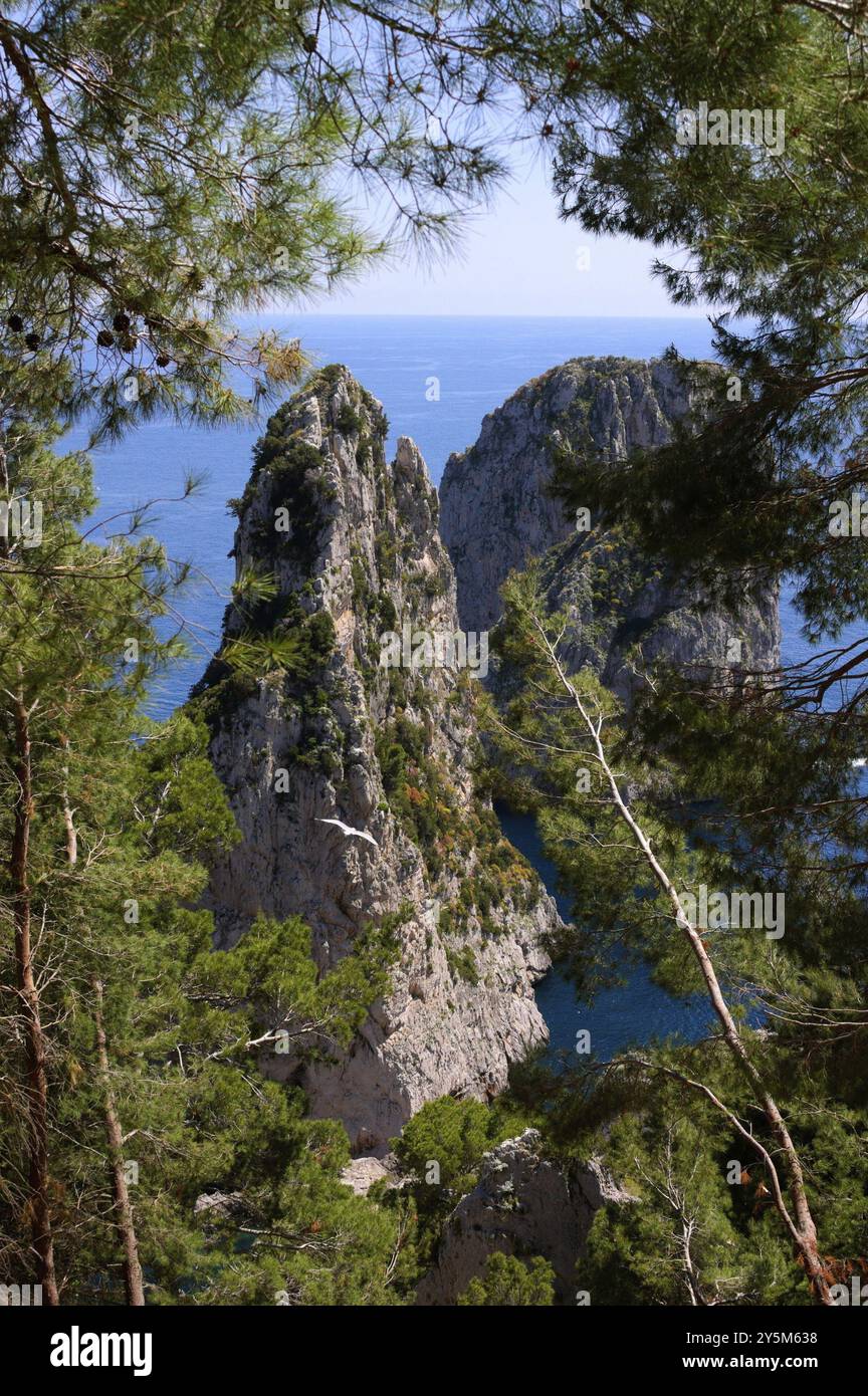 Capri is an island located in the Tyrrhenian Sea off the Sorrentine ...