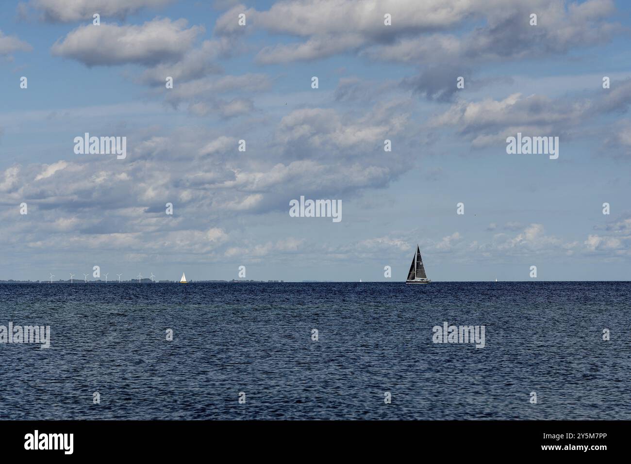 Sailing ship on the Baltic Sea, Germany, Europe Stock Photo - Alamy