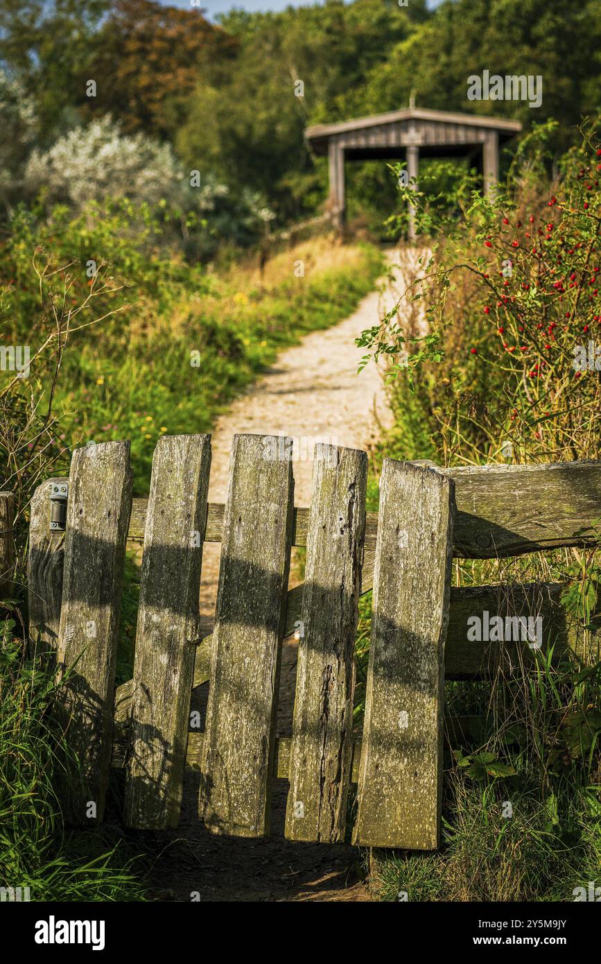 Gravel path in old park hi-res stock photography and images - Alamy