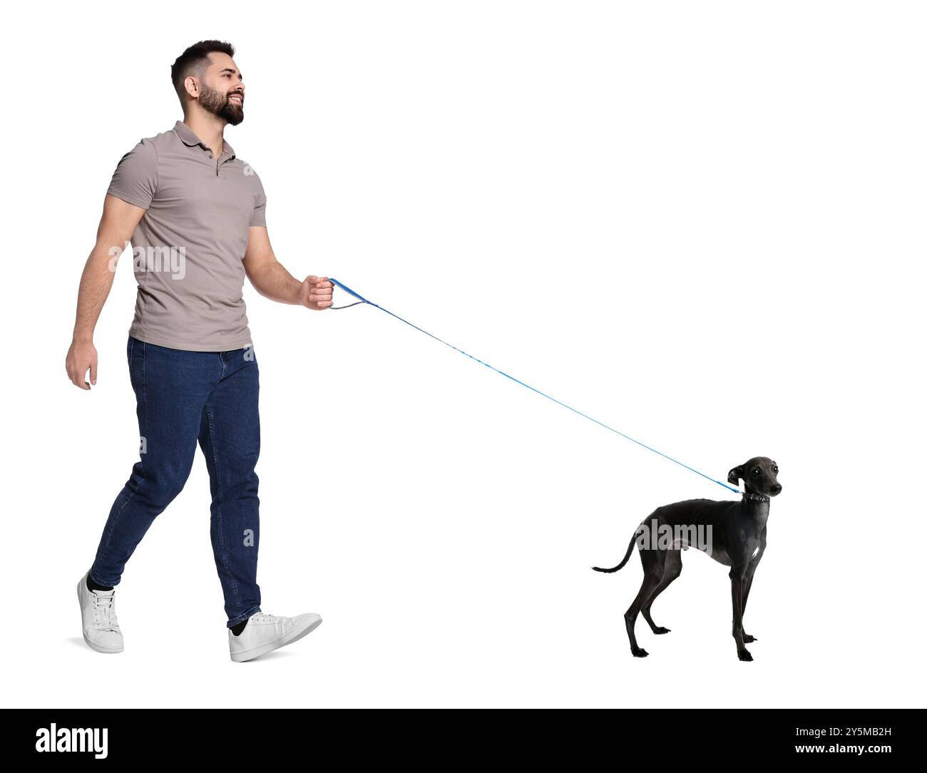Young man walking his dog on white background Stock Photo - Alamy