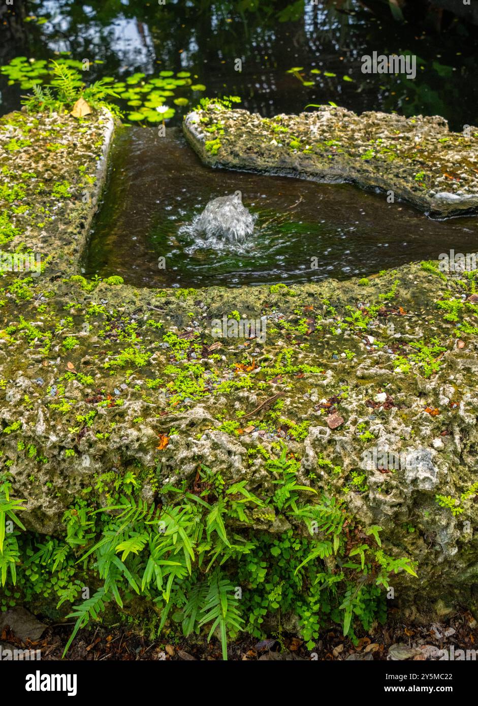 Babeling hi-res stock photography and images - Alamy