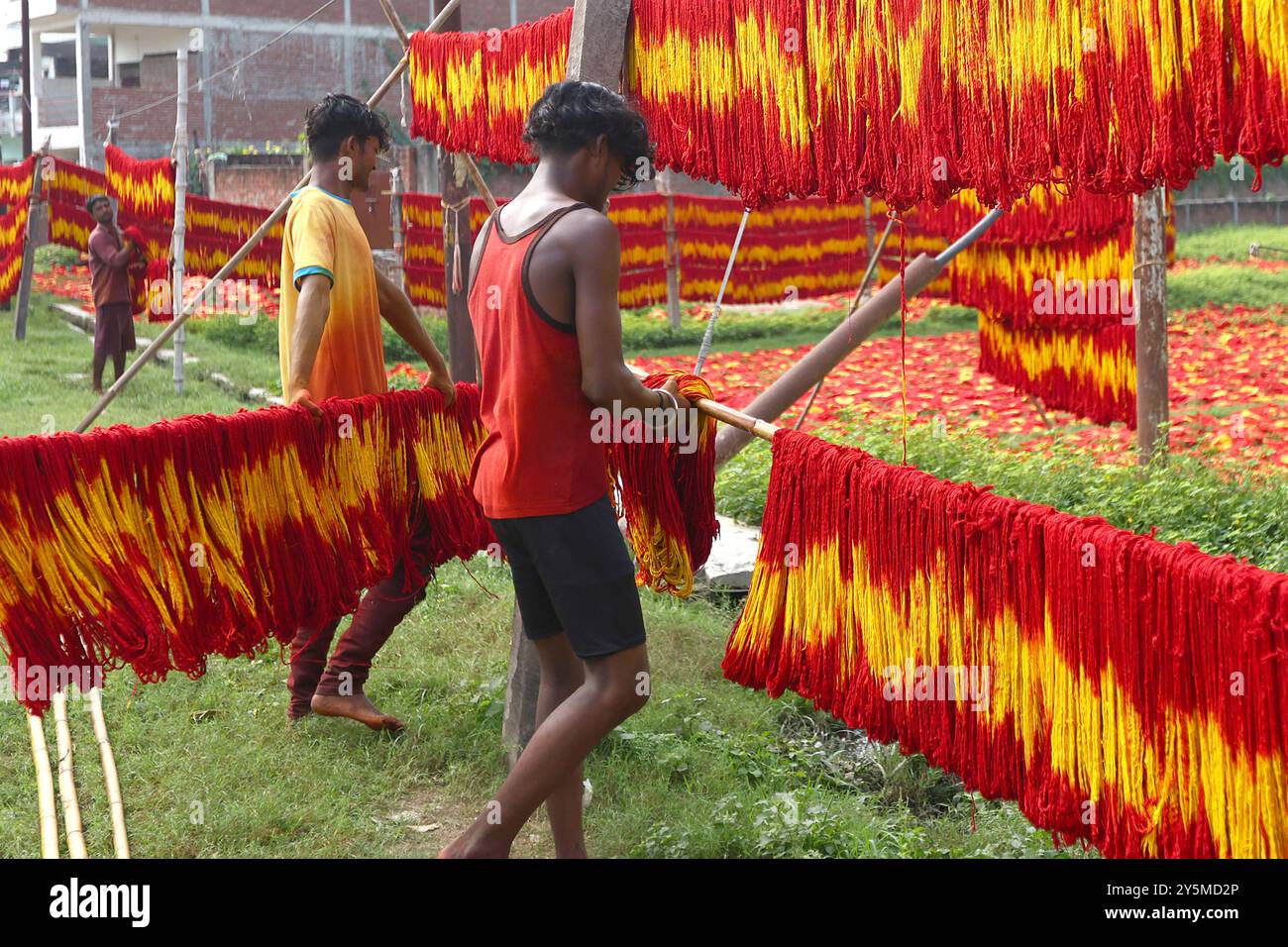 Prayagraj, India. 22 September 2024, A worker hangs freshly-dyed ...
