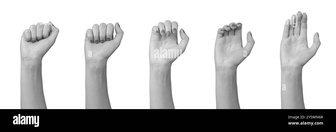 Hand gestures, opening clenched fist process, stages isolated on white ...