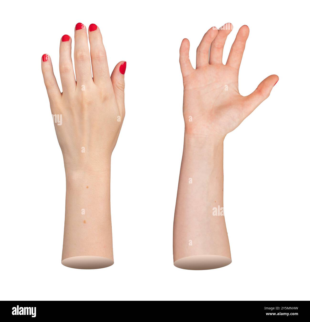 Hand gestures, sign for holding, grabbing, isolated on white background ...