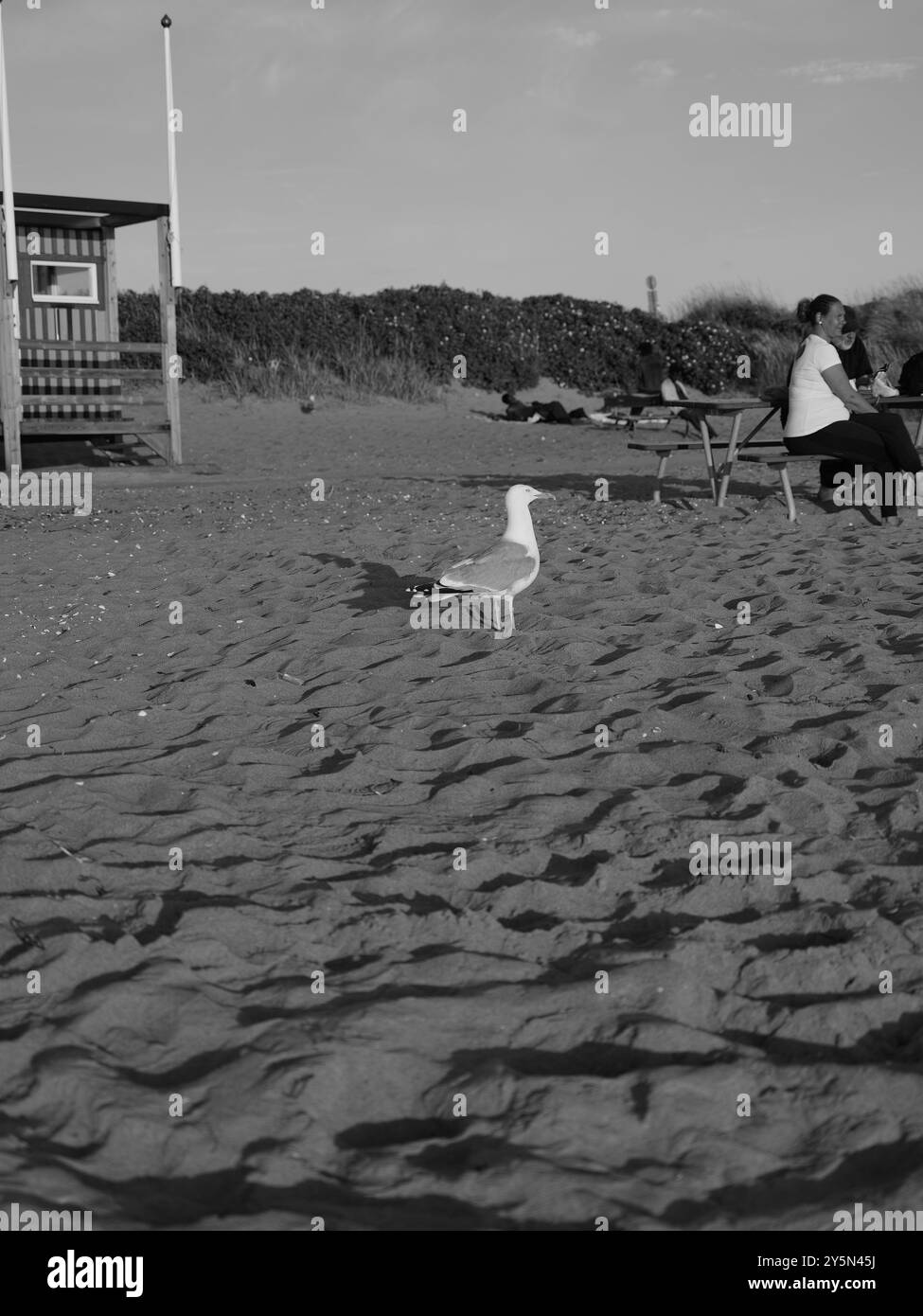 Angelholm sweden Black and White Stock Photos & Images - Alamy