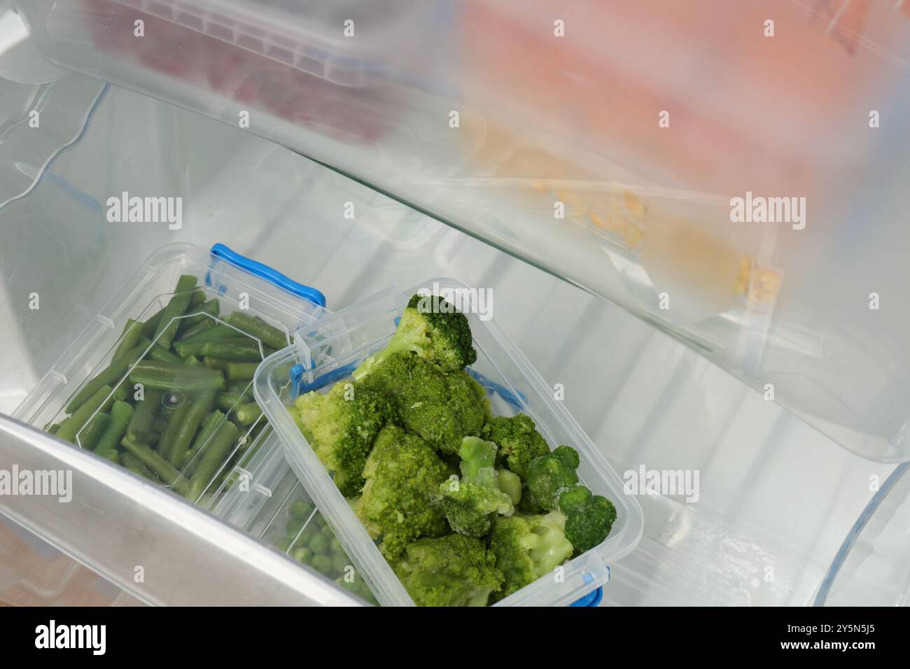 Plastic containers with different frozen vegetables in refrigerator ...