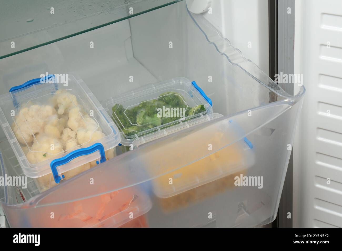 Plastic containers with different frozen vegetables in refrigerator ...