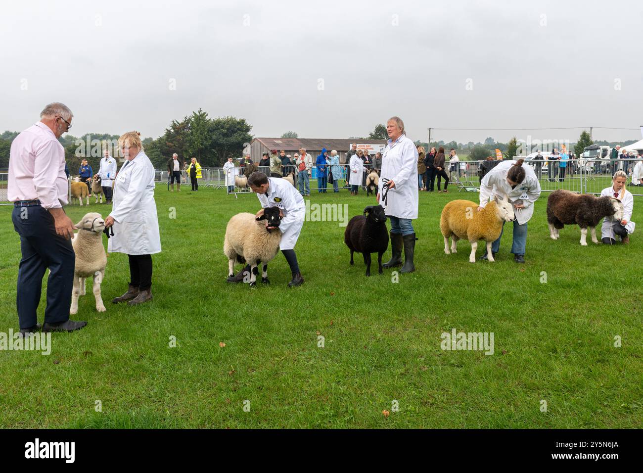 Newbury Show, 21 September 2024. The popular annual event took place at ...