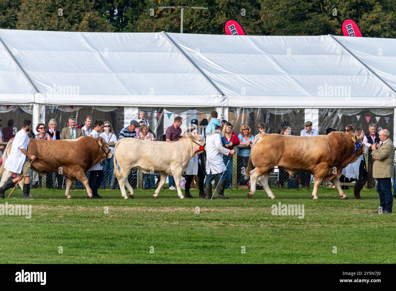 Newbury Show, 21 September 2024. The popular annual event took place at ...