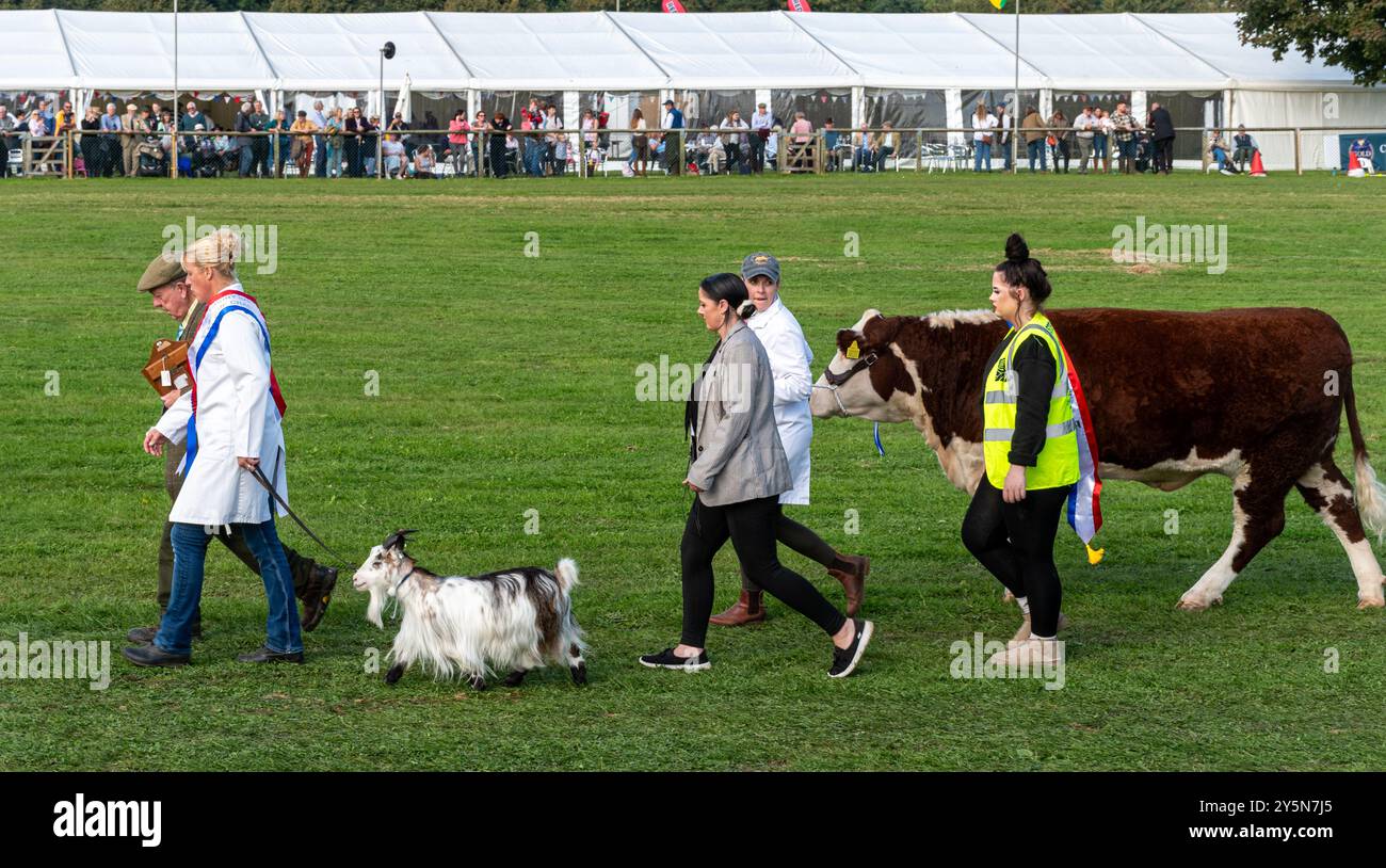 Newbury Show, 21 September 2024. The popular annual event took place at ...