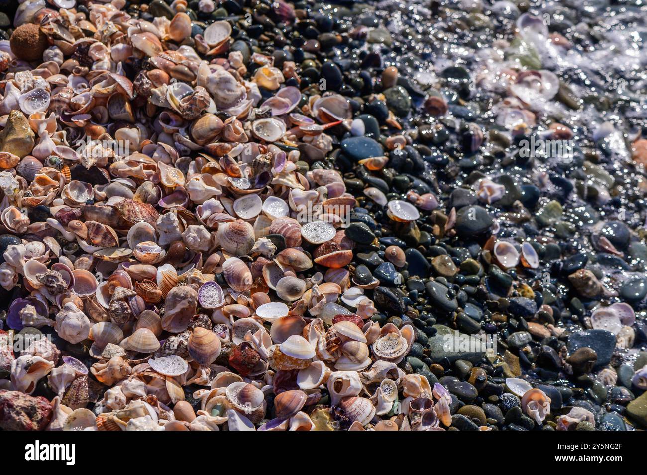 Many people rest on sea hi-res stock photography and images - Alamy