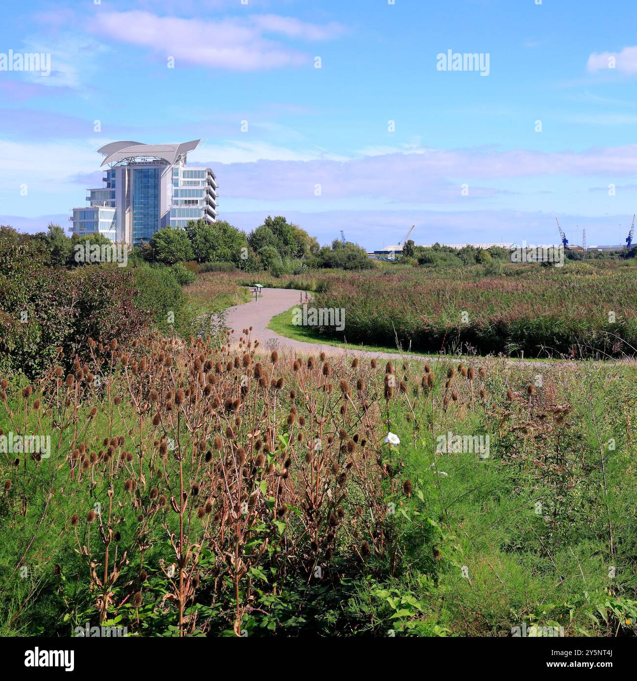 Cardiff Bay Wetlands Nature Reserve and St David's Hotel (Voco) Cardiff ...