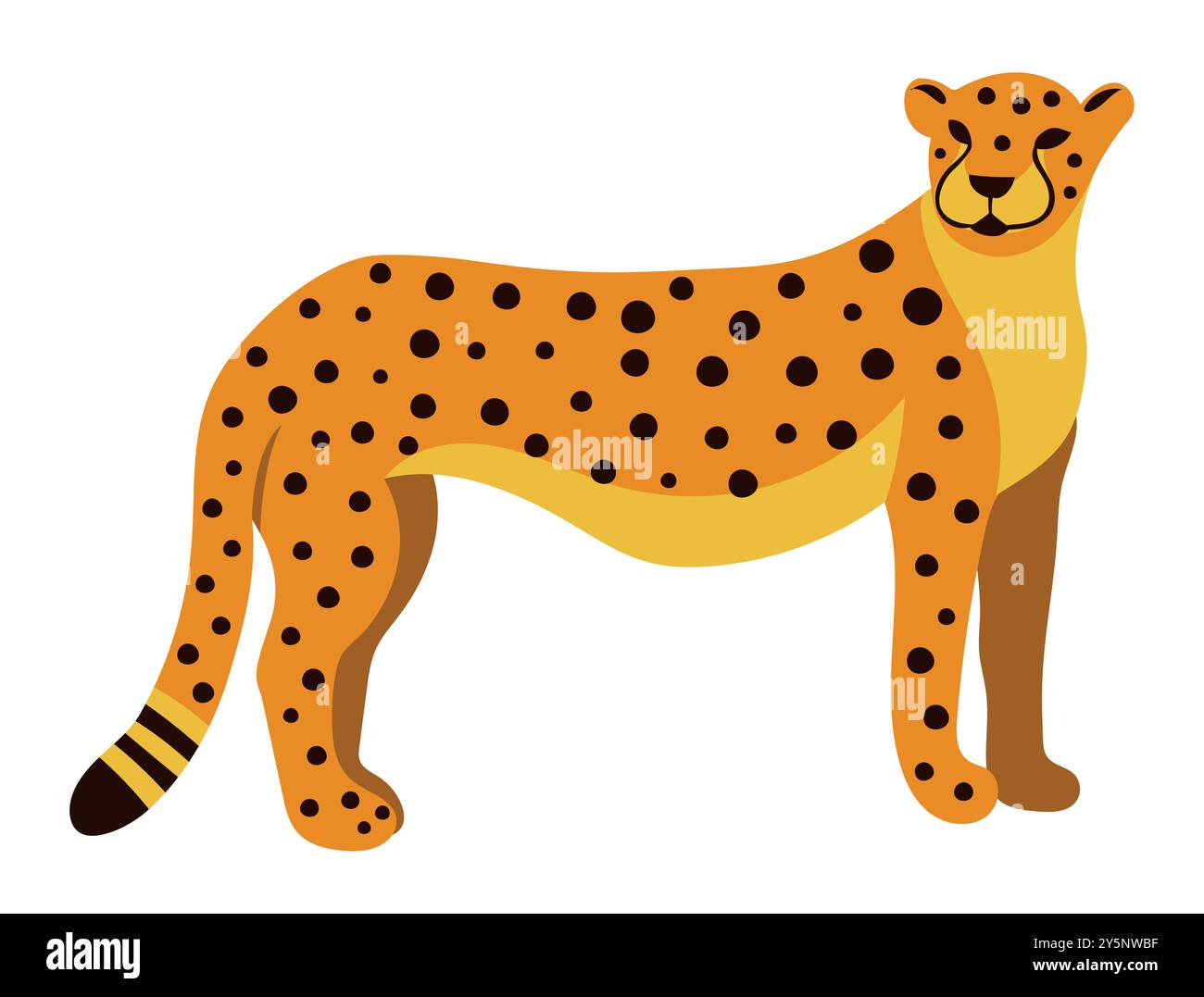 Standing cheetah or leopard in cartoon style. Vector illustration of ...