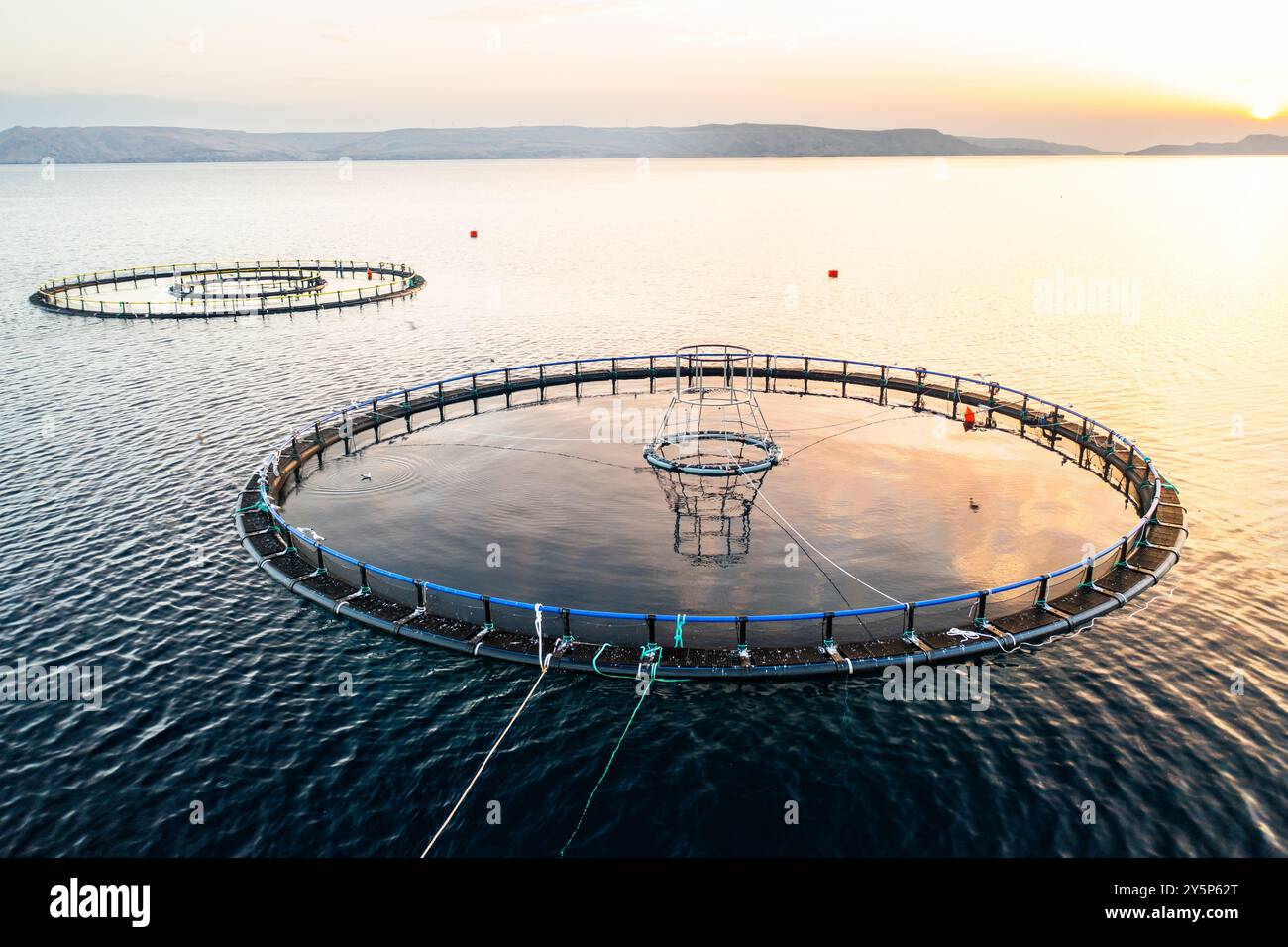 Fish farm structures floating on still water at sunset in a serene lake ...