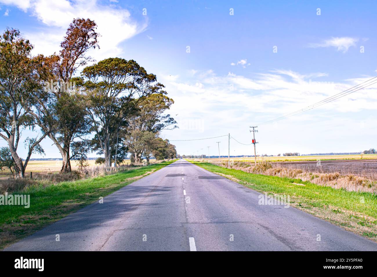 Empty road crossing pasture hi-res stock photography and images - Alamy
