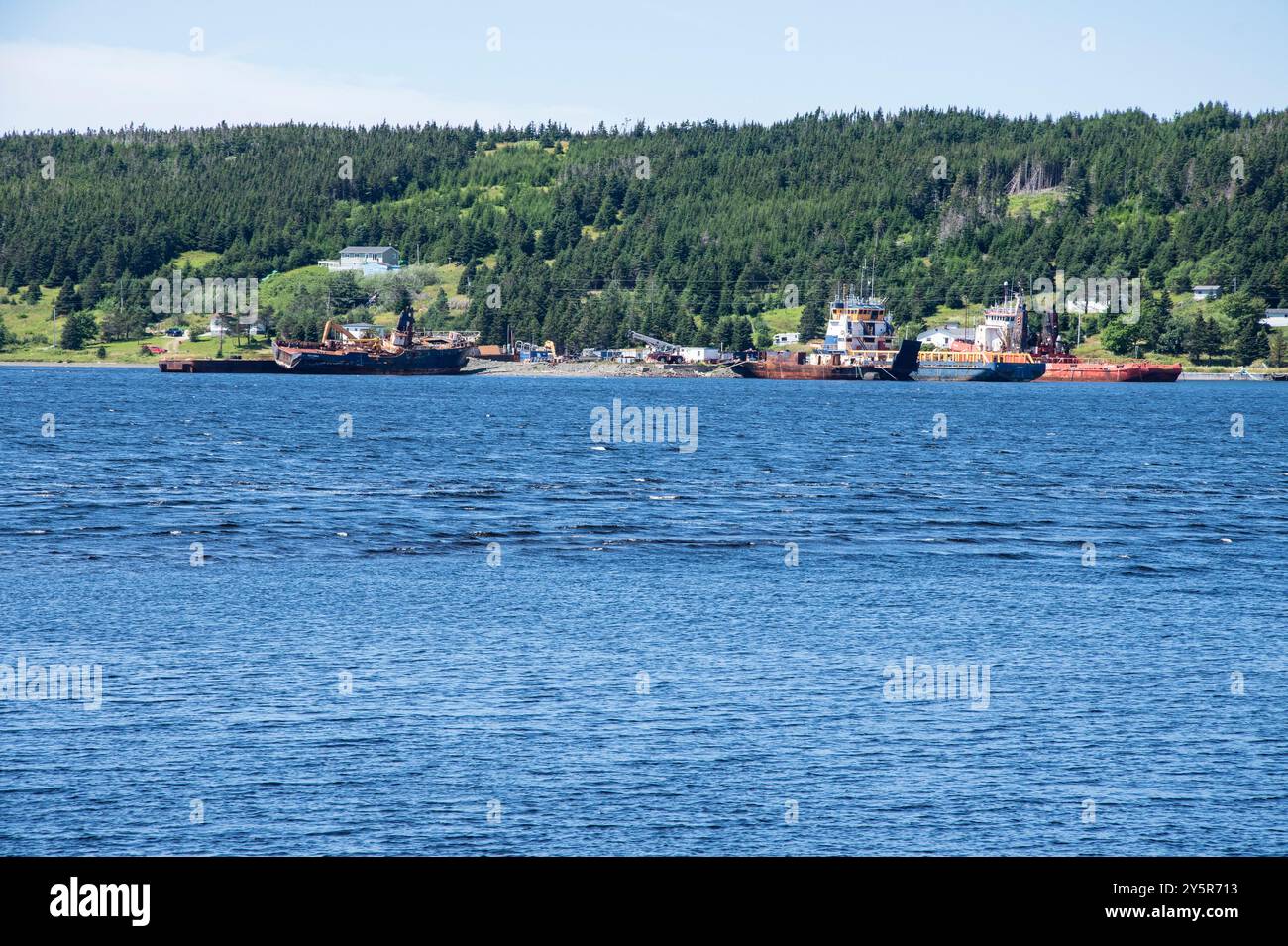 Labrador canada forest hi-res stock photography and images - Alamy