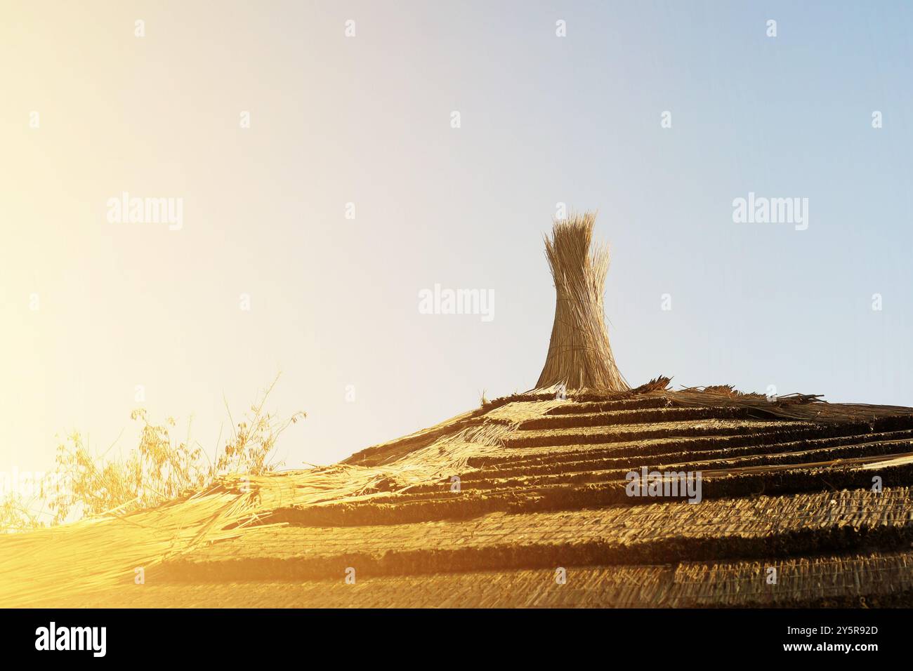 A close-up of the top of a thatched roof under a bright blue sky ...