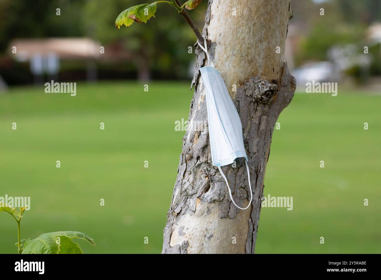 medical mask out in nature Stock Photo - Alamy