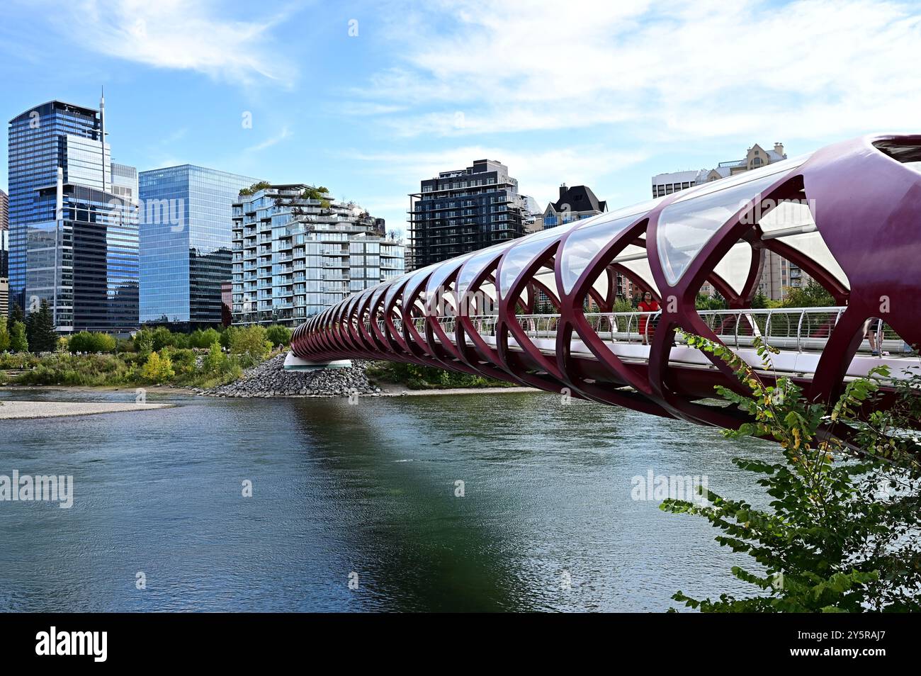 Peace Bridge, Calgary, Canada. A pedestrian only bridge that goes over ...